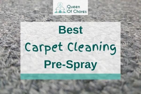 6 Best Carpet Cleaning Pre-Sprays In 2021 | Queen of Chores