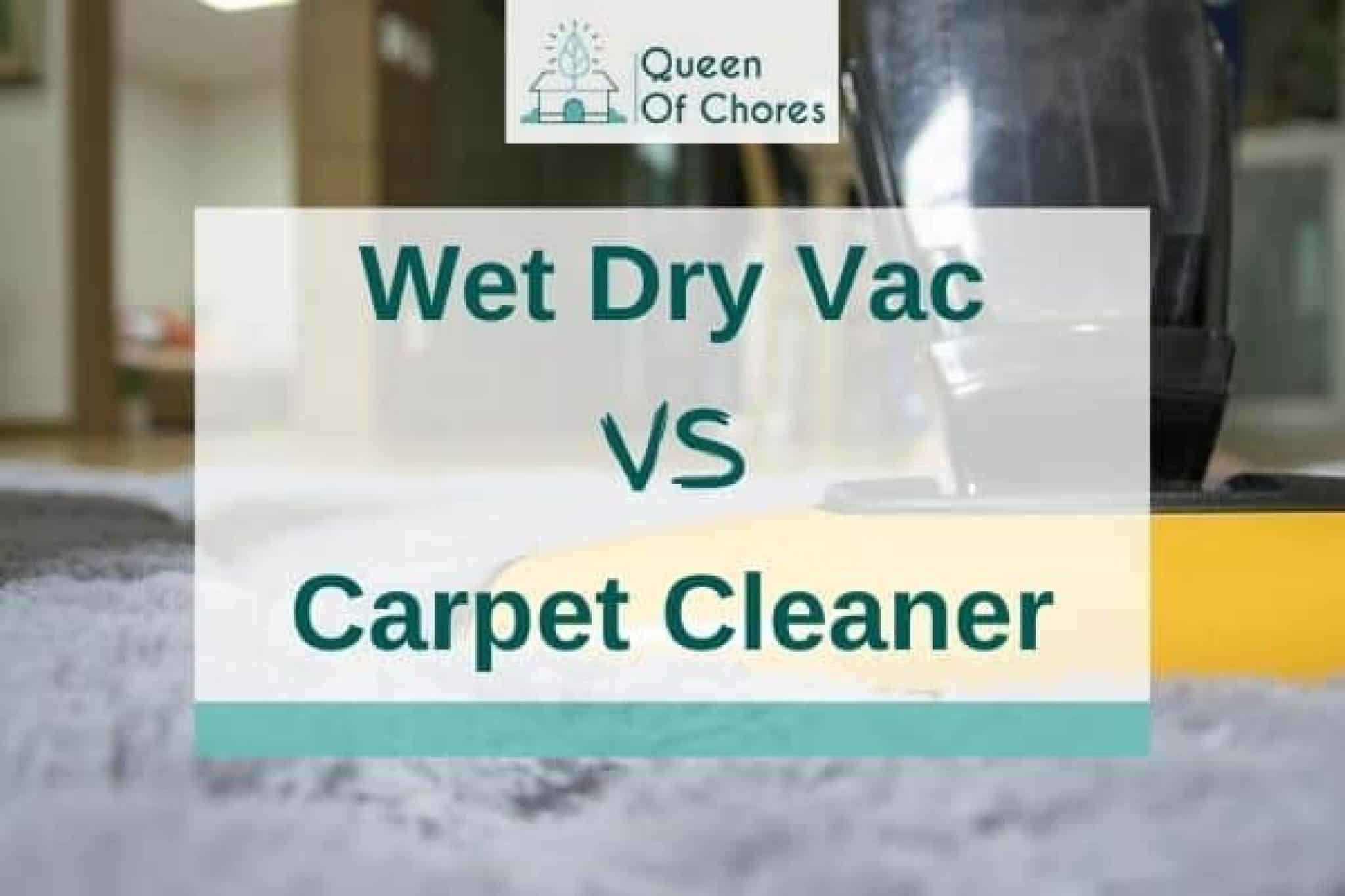Wet Dry Vac vs Carpet Cleaner - What's The Difference? | Queen of Chores