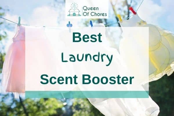 8 Best Laundry Scent Booster in 2021 | Queen of Chores