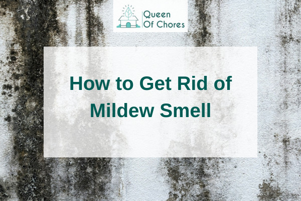 How to Get Rid of Mildew Smell in 8 Effective Methods | Queen of Chores